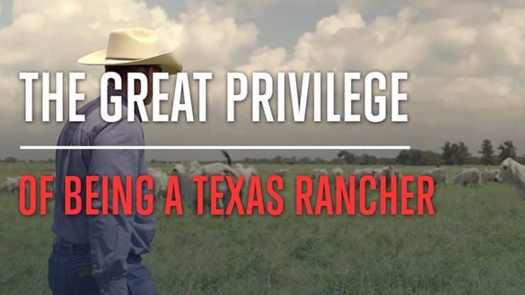 Raising Beef | Beef Loving Texans | Beef Loving Texans is your one-stop ...