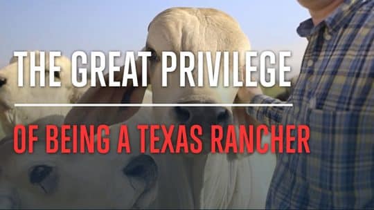 Beef TV > Texas Ranchers | Beef Loving Texans | Beef Loving Texans is ...