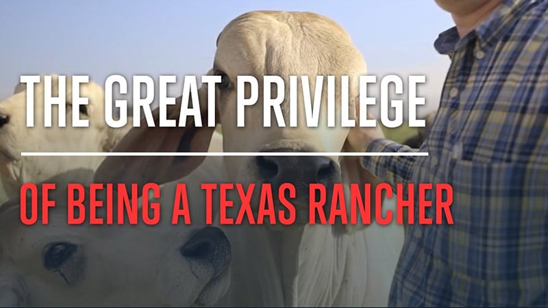 Beef TV > Texas Ranchers | Beef Loving Texans | Beef Loving Texans is ...