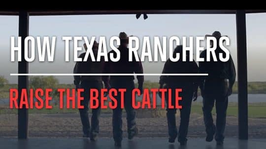Beef TV > Texas Ranchers | Beef Loving Texans | Beef Loving Texans is ...